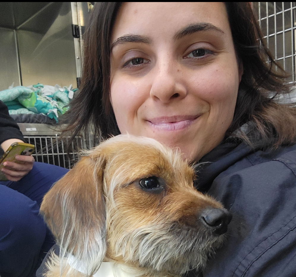 Meet Amanda Barajas, Long Beach Animal Care Services' new face of dog ...