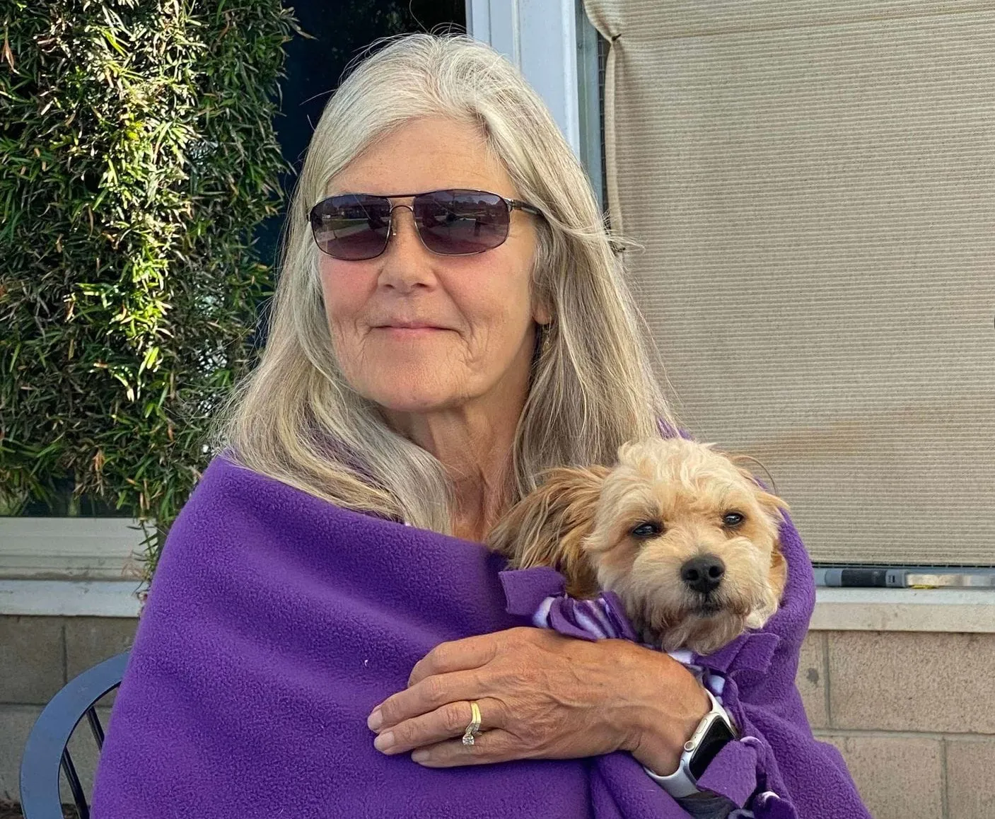 Scratch This: Long Beach’s overcrowded animal shelter is in dire need ...